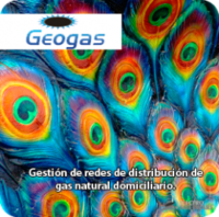 Geogas - Gestión de redes de distribución de gas natural domiciliario